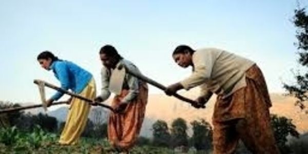 Surviving the Odds in Fields of Hope