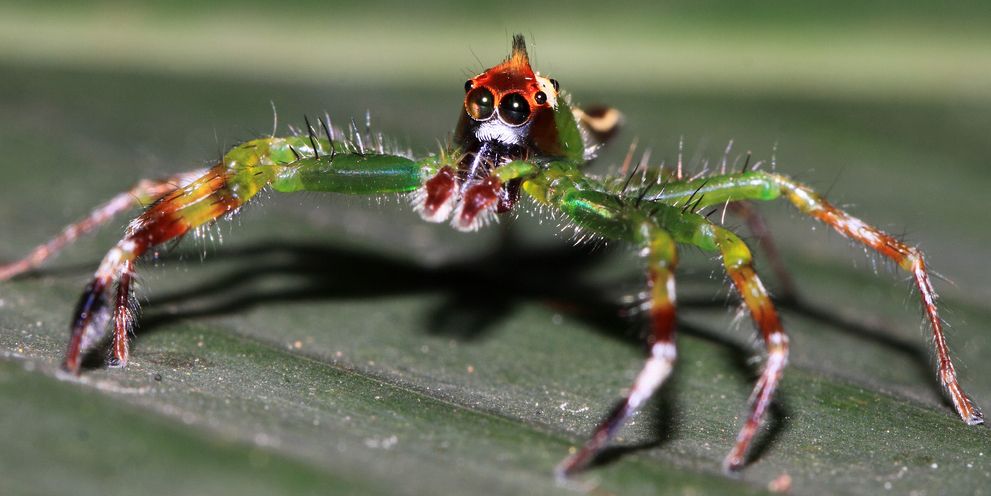 Daily News Article Website | Wanderlust Article | The Brighter World